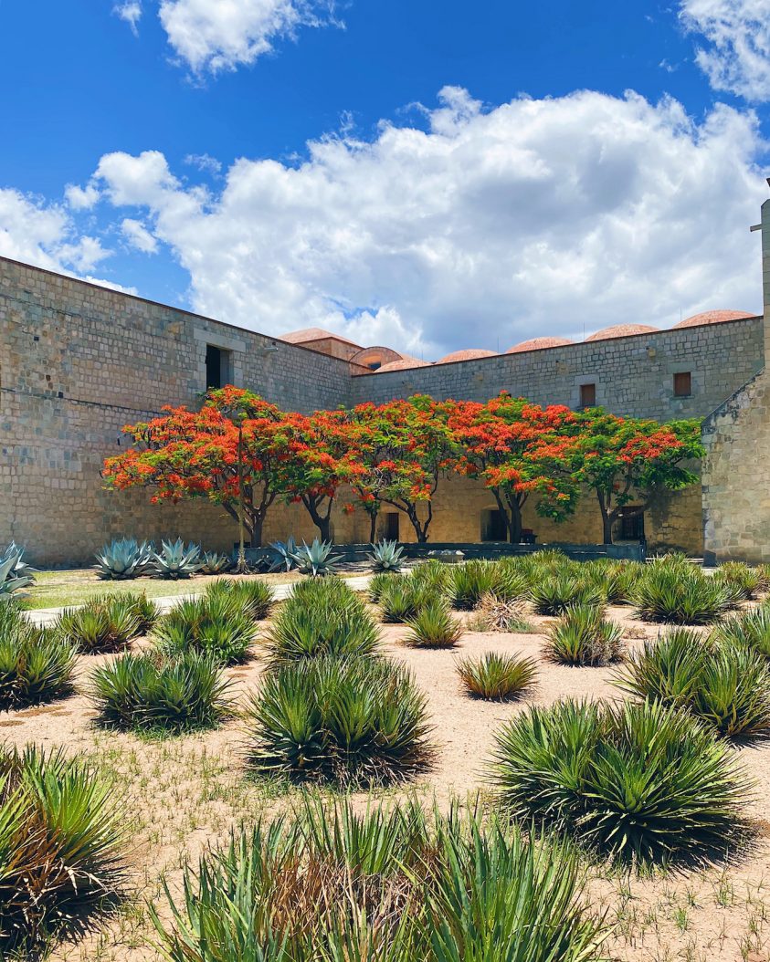 Wu Haus Trips: Oaxaca, Mexico 2024 - Wu Haus